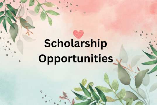 7 Vital Scholarship Opportunities You Can't Miss - Paragraph Bd