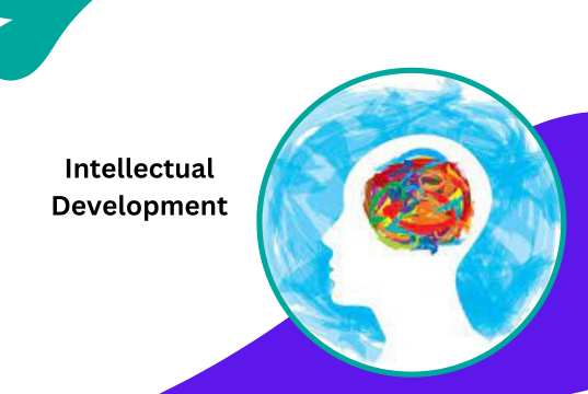 Ignite Your Mind: 5 Tips for Intellectual Development - Paragraph Bd