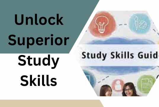 Unlock Superior Study Skills: 7 Proven Strategies - Paragraph Bd